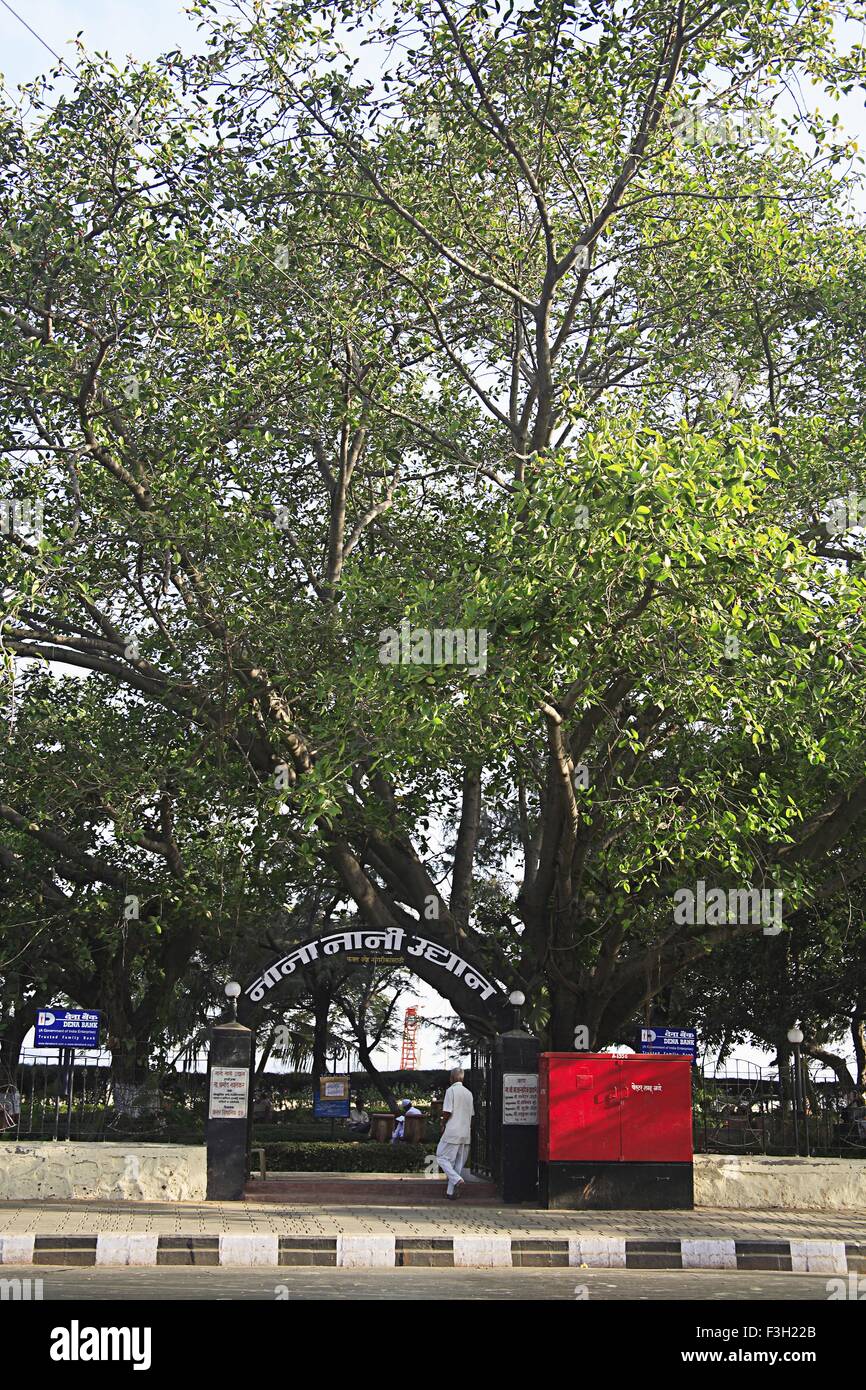 Nana nani hi-res stock photography and images - Alamy