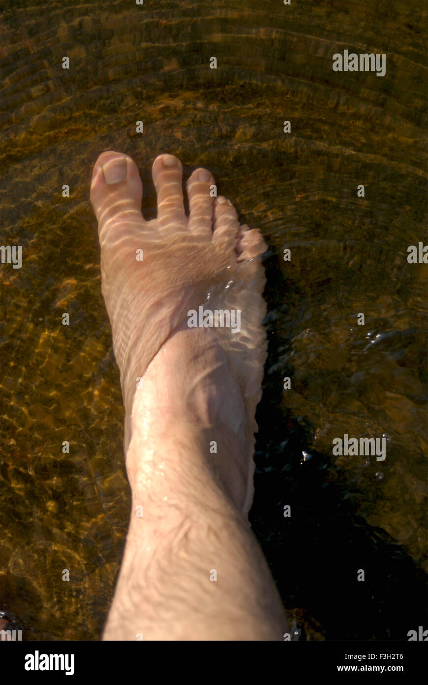 Foot in river water, Dang forest, Waghai, Ahwa, Dang, Gujarat, India ...