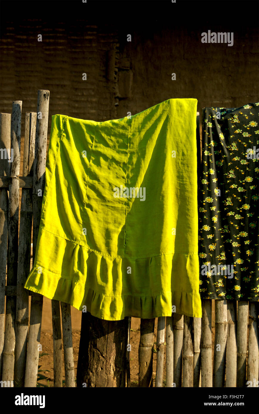 Petticoat drying on bamboo fence, Dang forest, Waghai, Ahwa, Dang ...