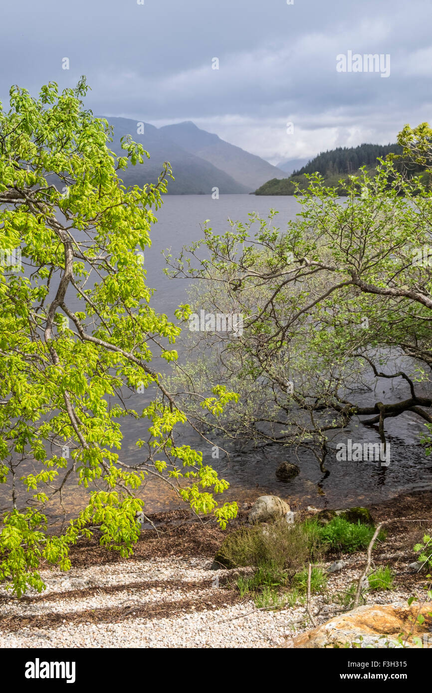 Loch shiel hi-res stock photography and images - Alamy