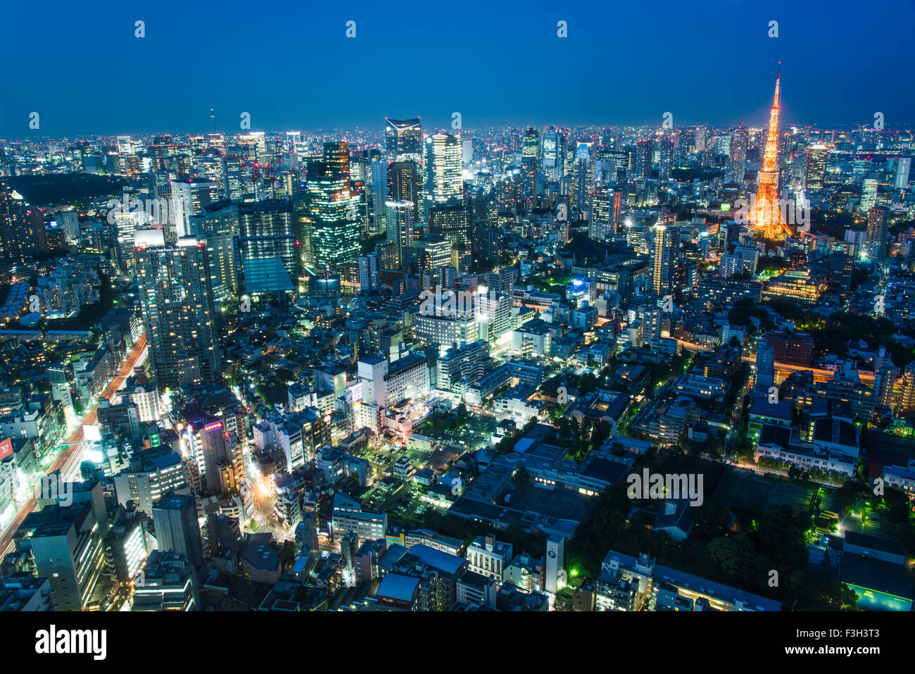 Tokyo Tower and Tokyo Skytree,view from Roppongi Hills observatory ...