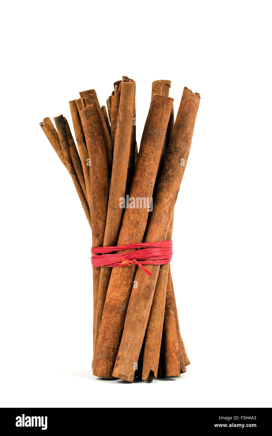 Stick plant part hi-res stock photography and images - Alamy