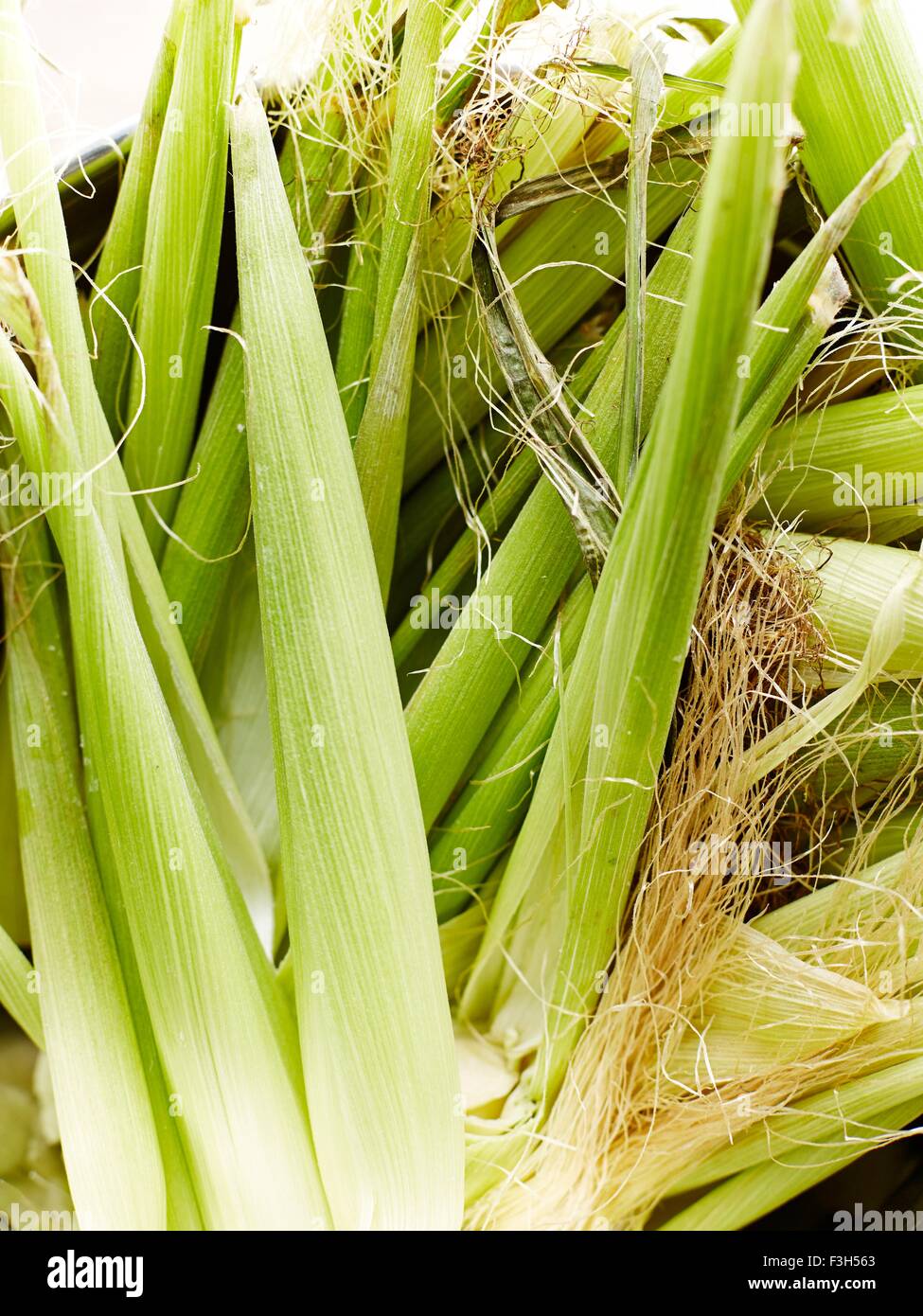 Corn husk hi-res stock photography and images - Alamy