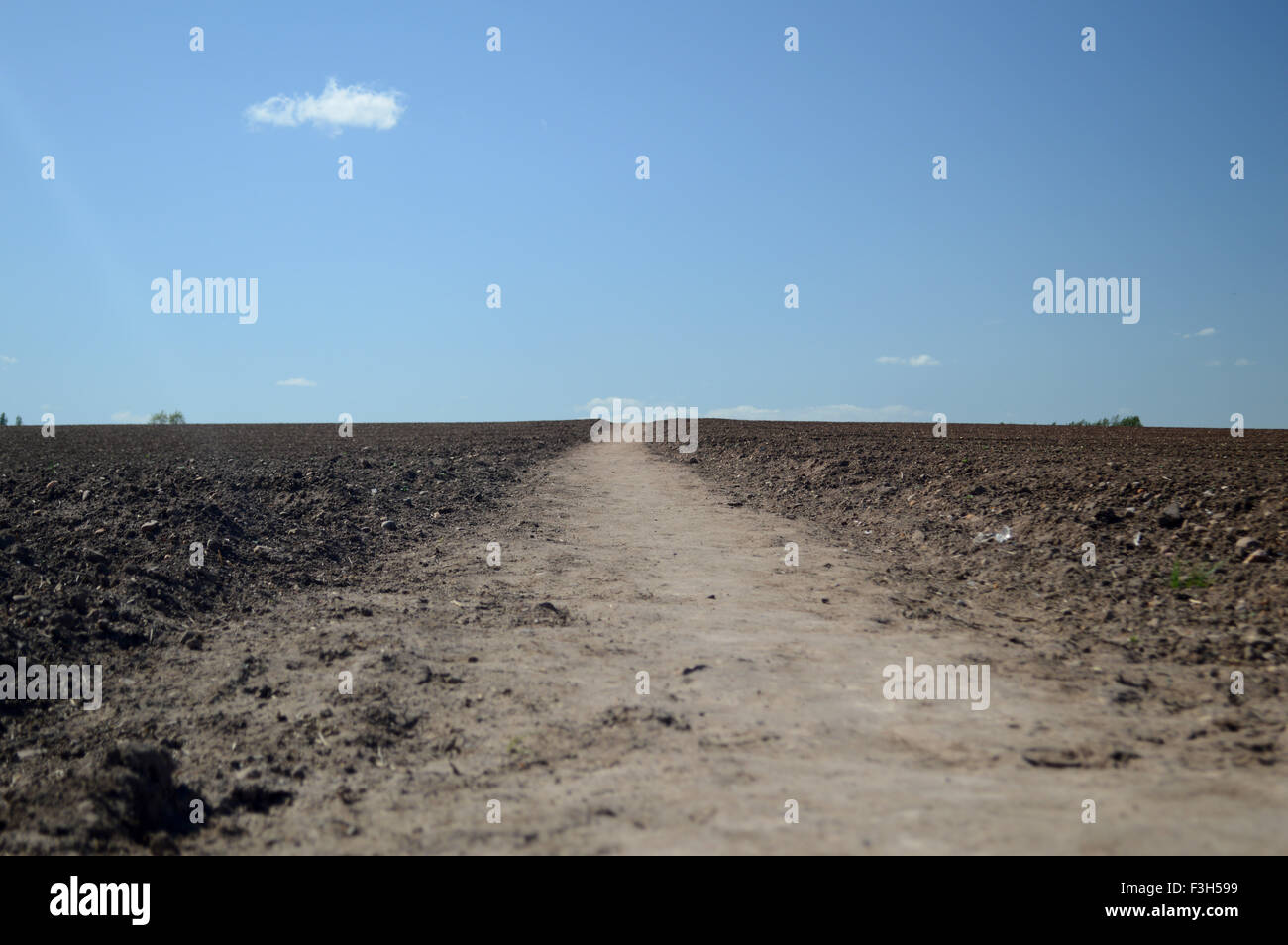 long dirt road Stock Photo - Alamy