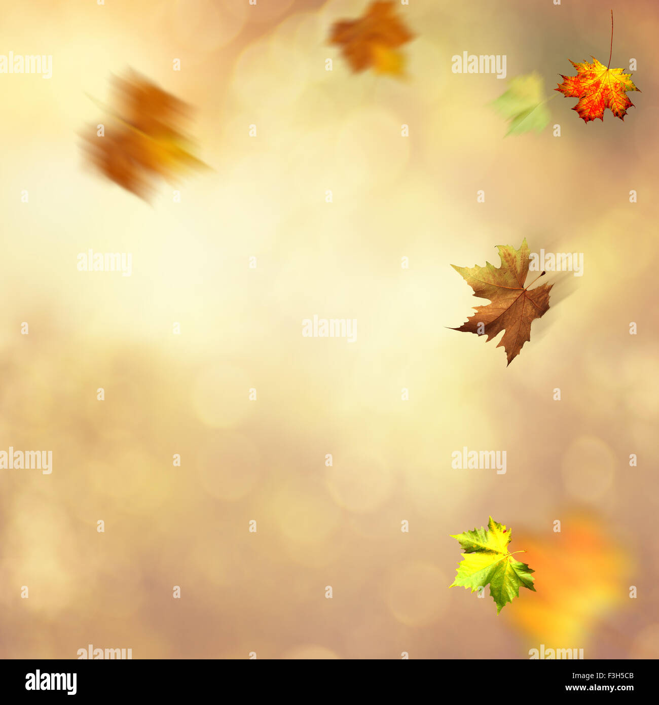 Autumnal fall. Abstract seasonal backgrounds Stock Photo - Alamy