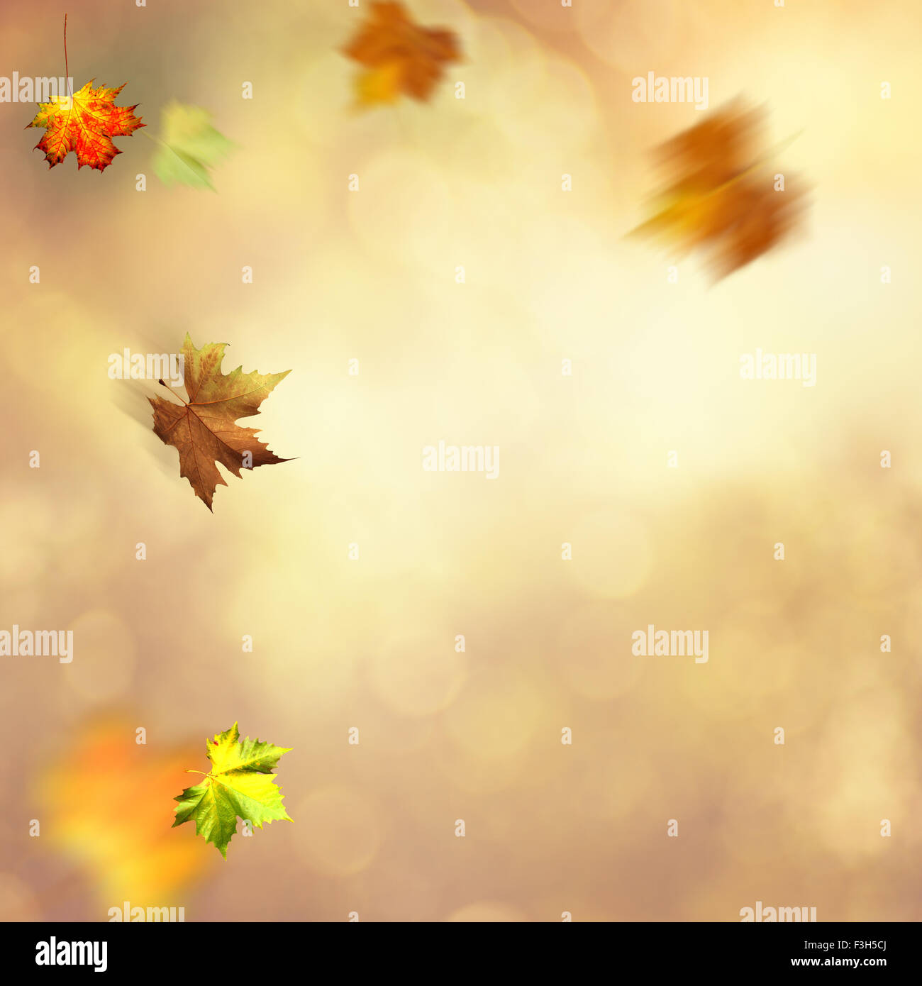 Seasonal glow hi-res stock photography and images - Alamy