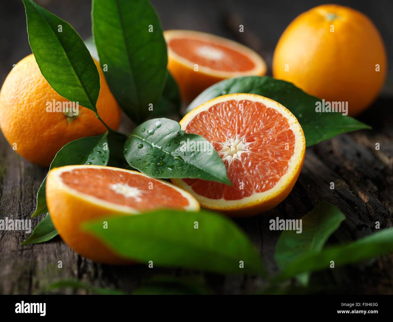 Whole tree hi-res stock photography and images - Alamy