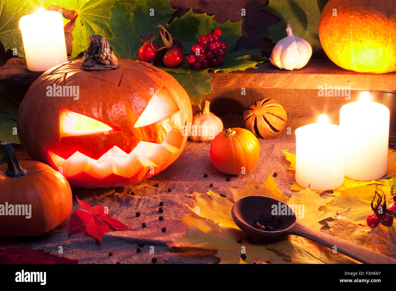 Halloween still life with pumpkins Stock Photo - Alamy
