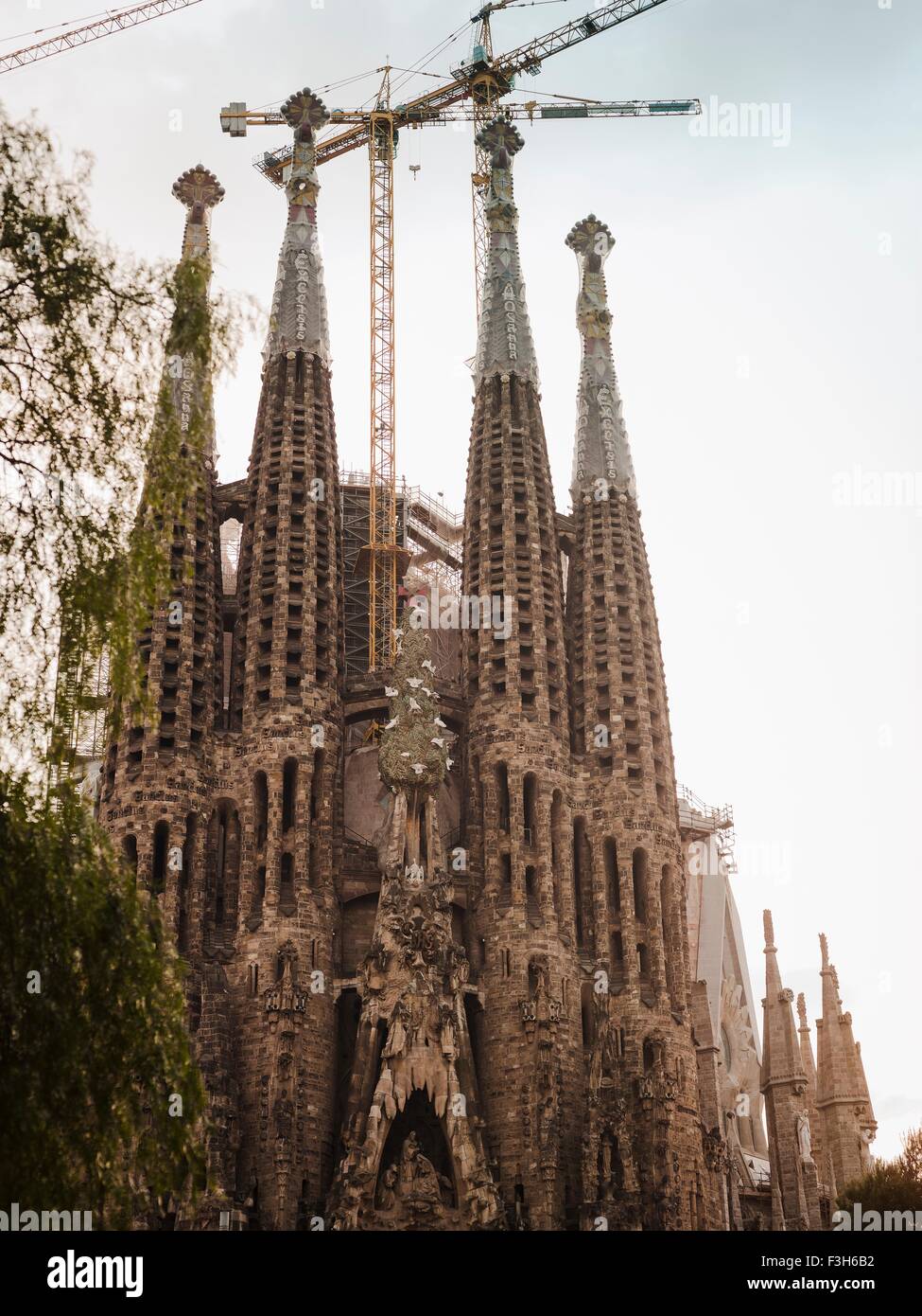 View of Sagrada Familia spires, Barcelona, Spain Stock Photo - Alamy