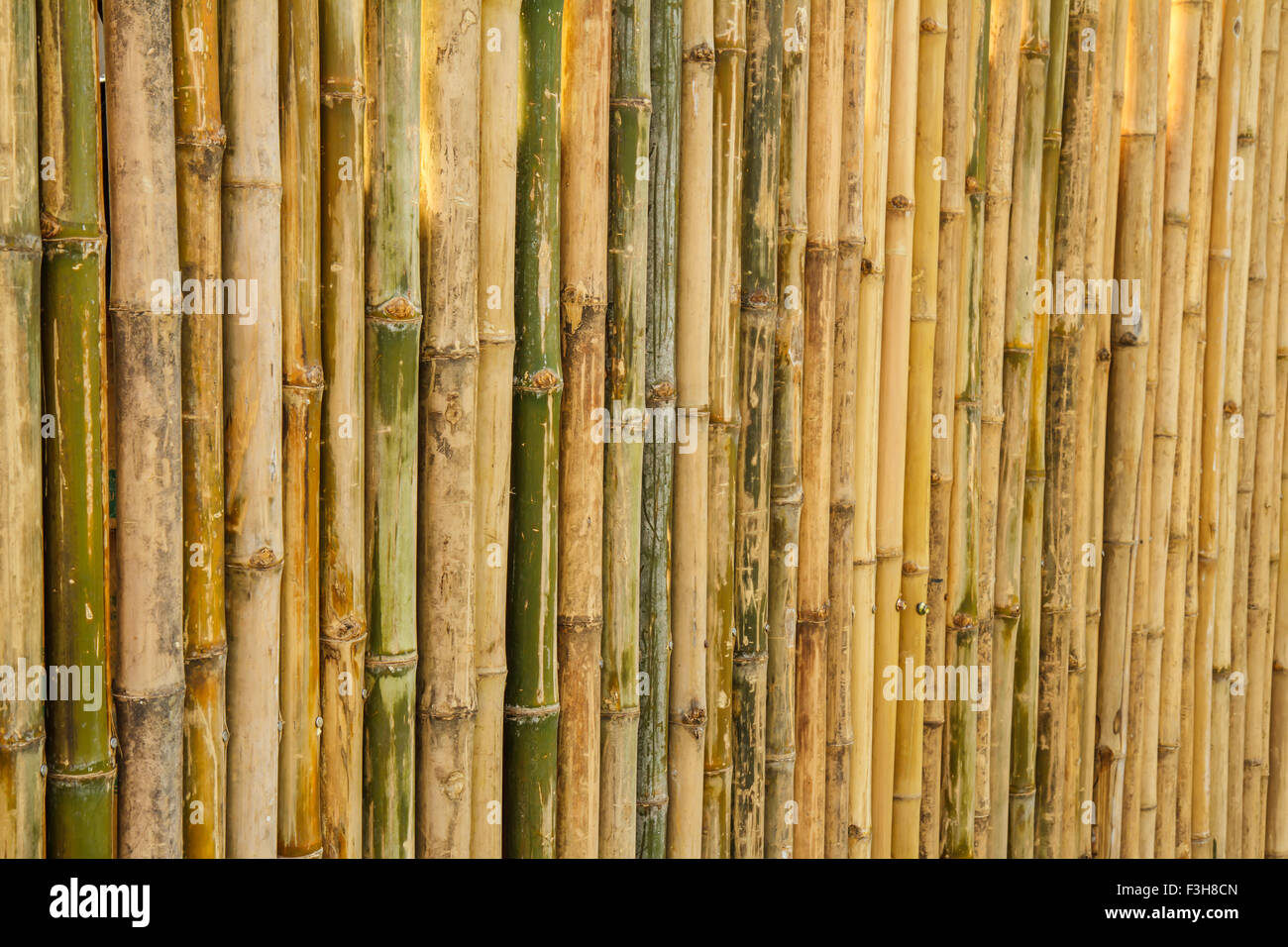 bamboo texture background Stock Photo - Alamy