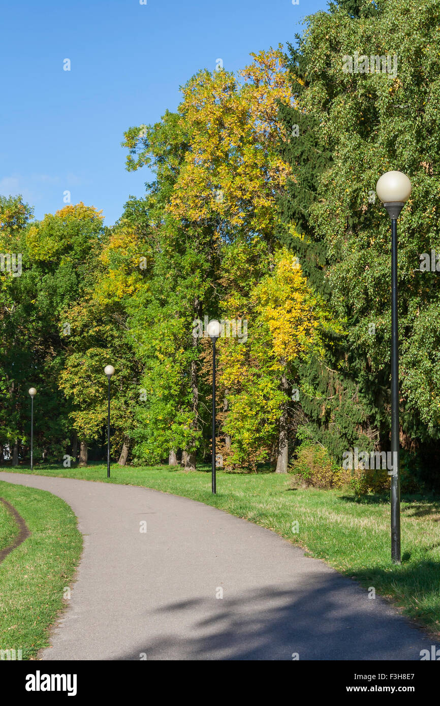 Tree alee hi-res stock photography and images - Alamy