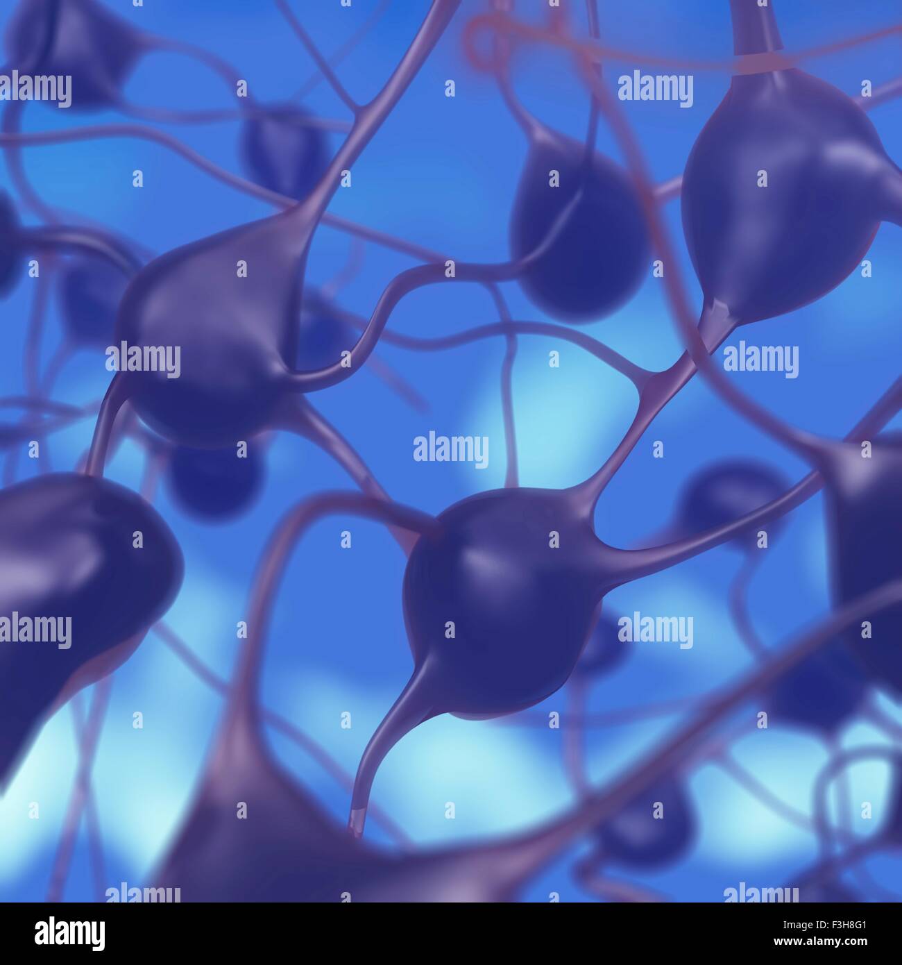 Neurons hi-res stock photography and images - Alamy