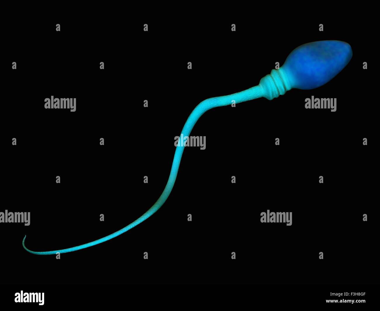 Sperm hi-res stock photography and images - Alamy