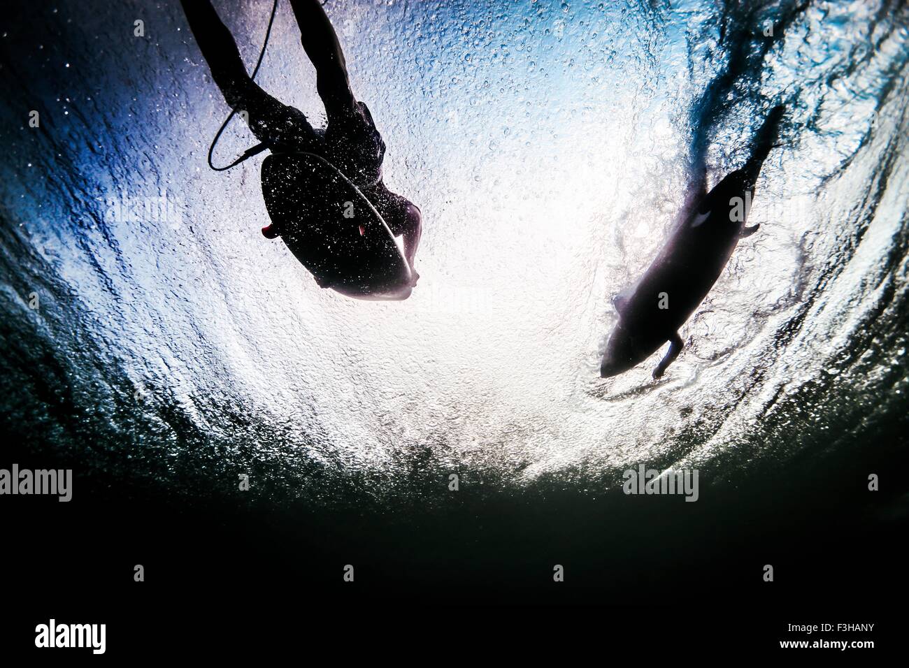 Low angle underwater view of two silhouetted surfers paddling through ...