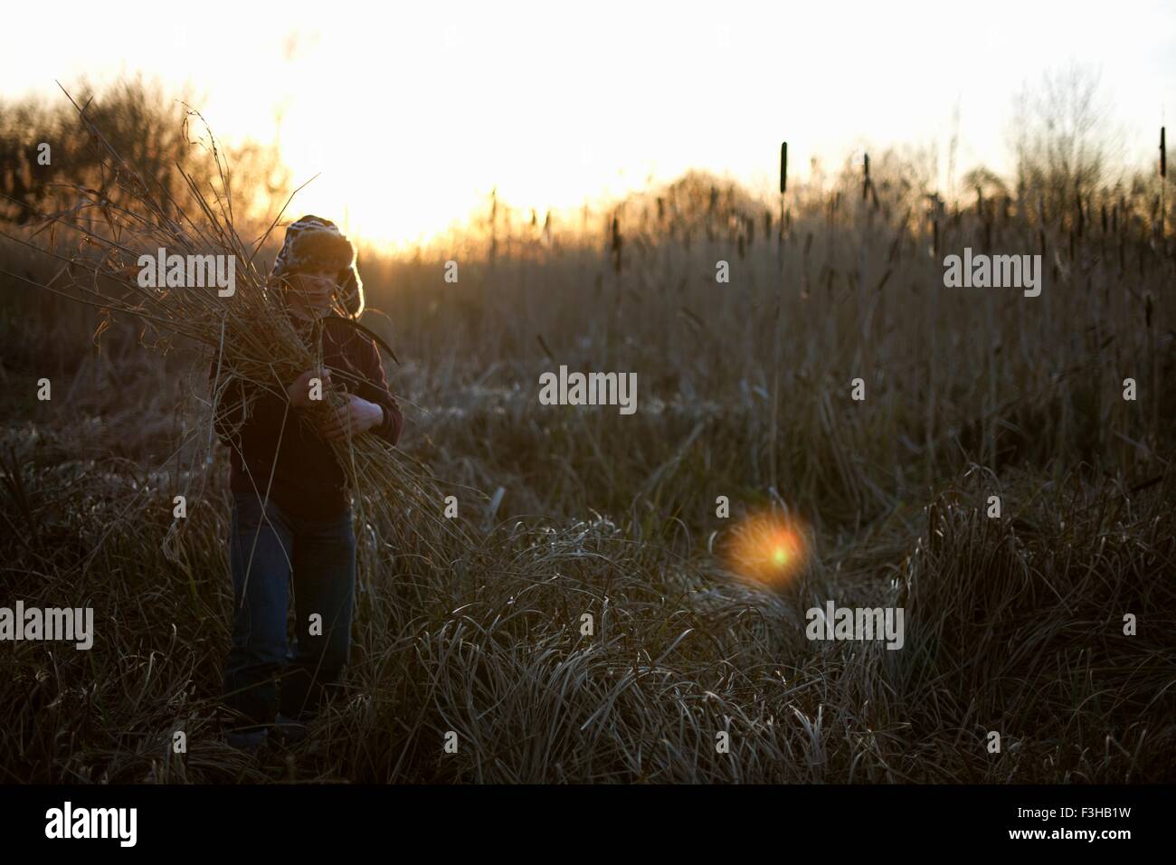 Gathering Crops High Resolution Stock Photography and Images - Alamy