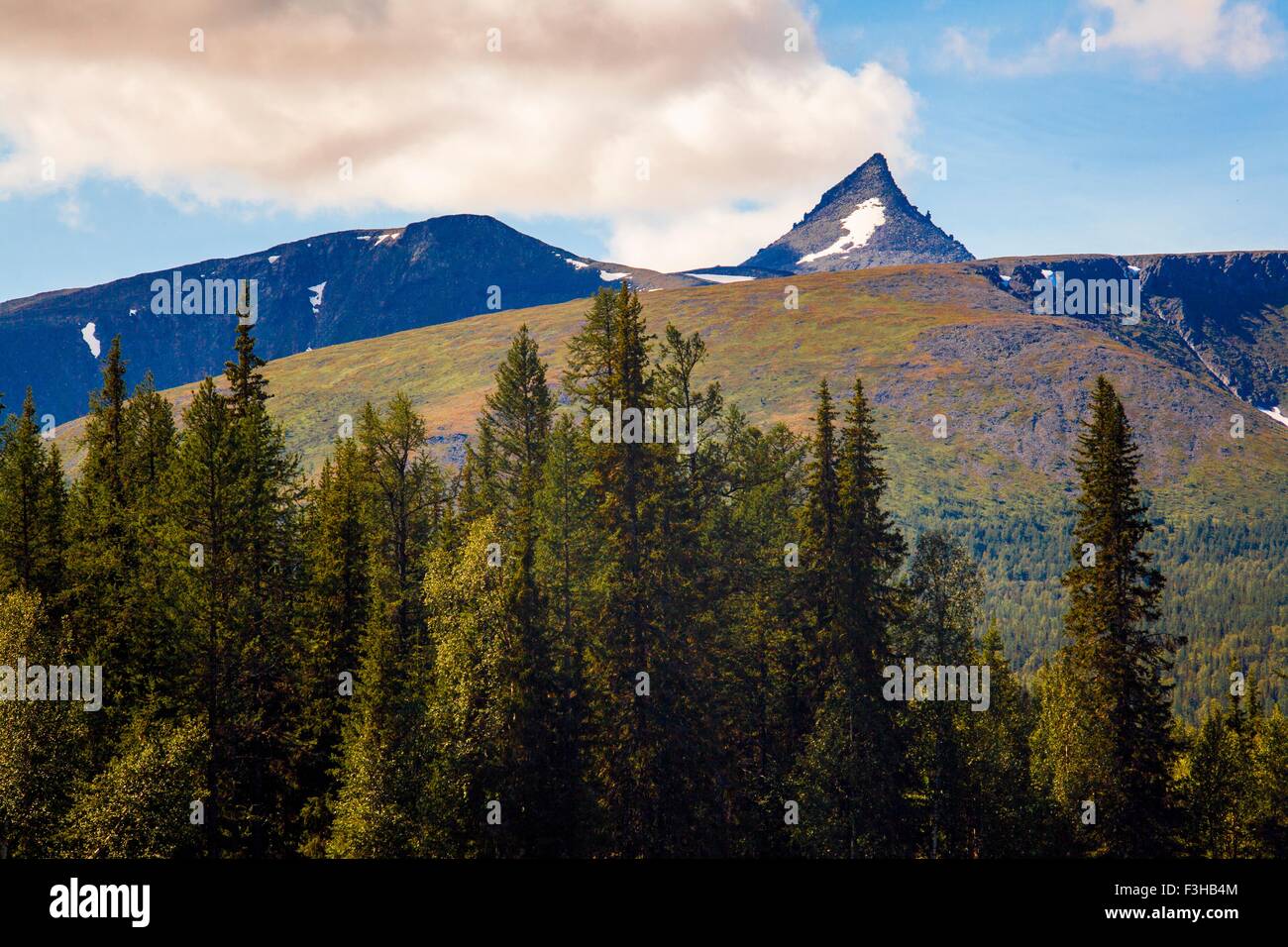 View of forest and mountain peak, Ural mountains, Russia Stock Photo ...