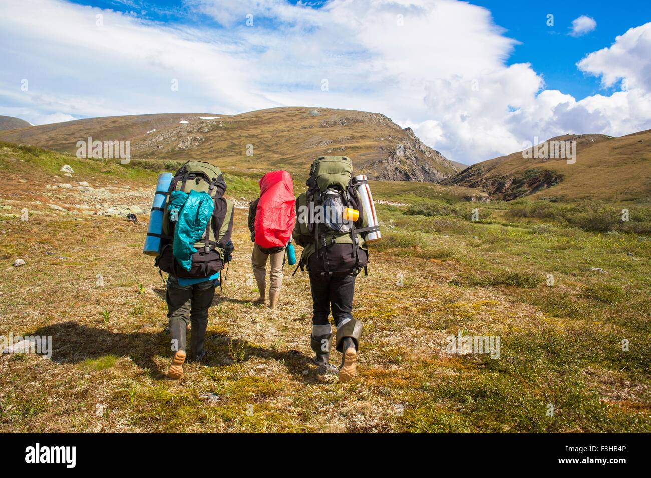 Rear view of three hikers hiking across moorland, Ural mountains ...