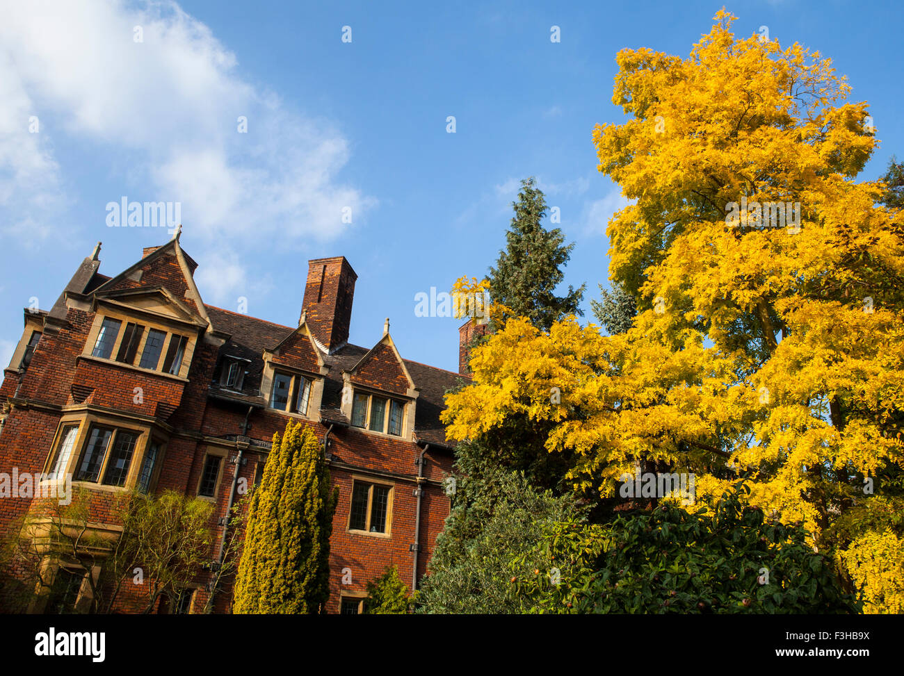An Autumnal view of the Pitt Building viewed from the Orchard at ...