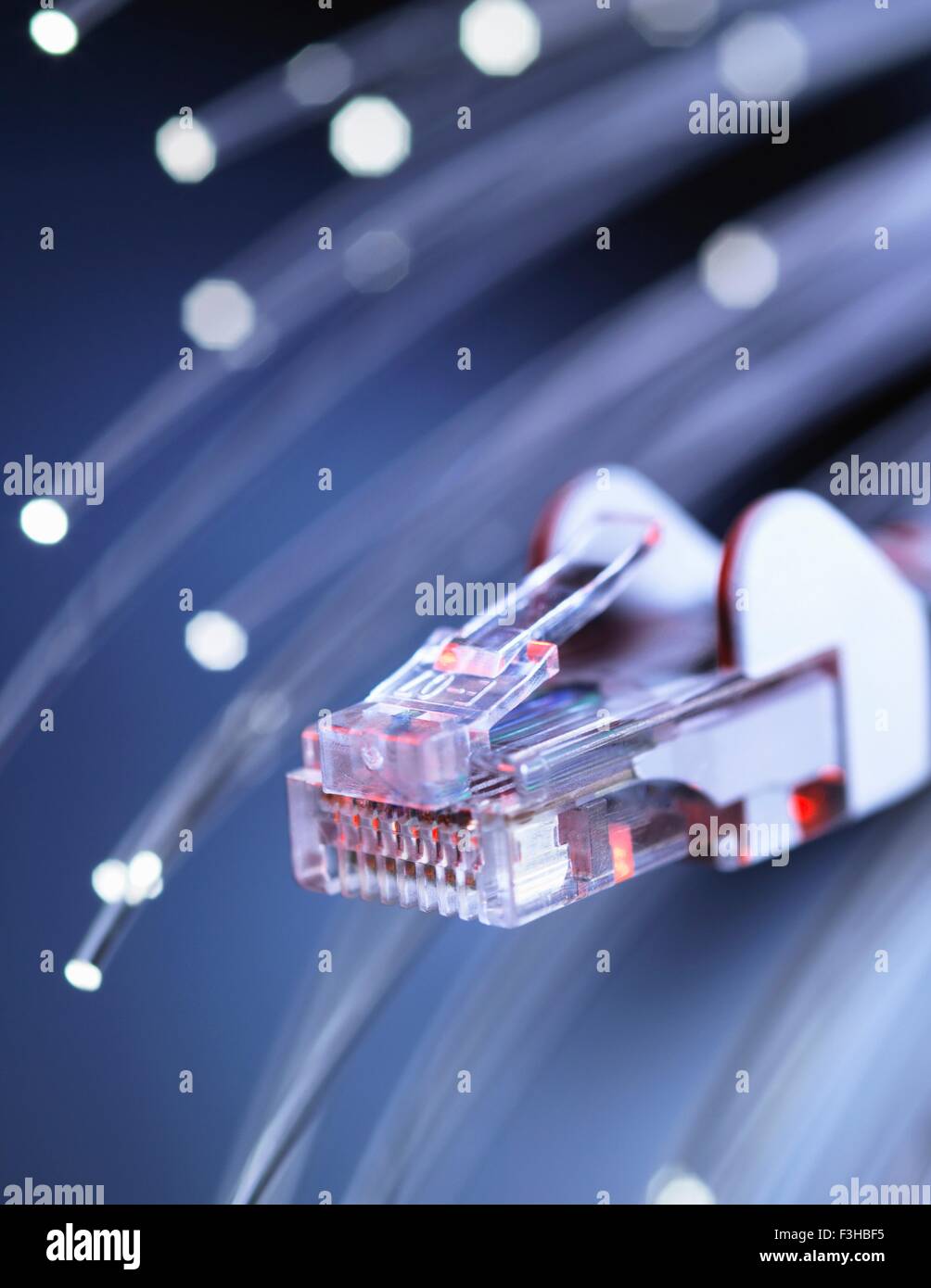 Internet network connector with fibre optics, close-up Stock Photo - Alamy