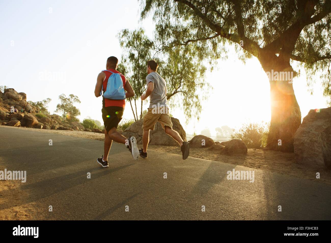 Two male friends running, outdoors, rear view Stock Photo - Alamy