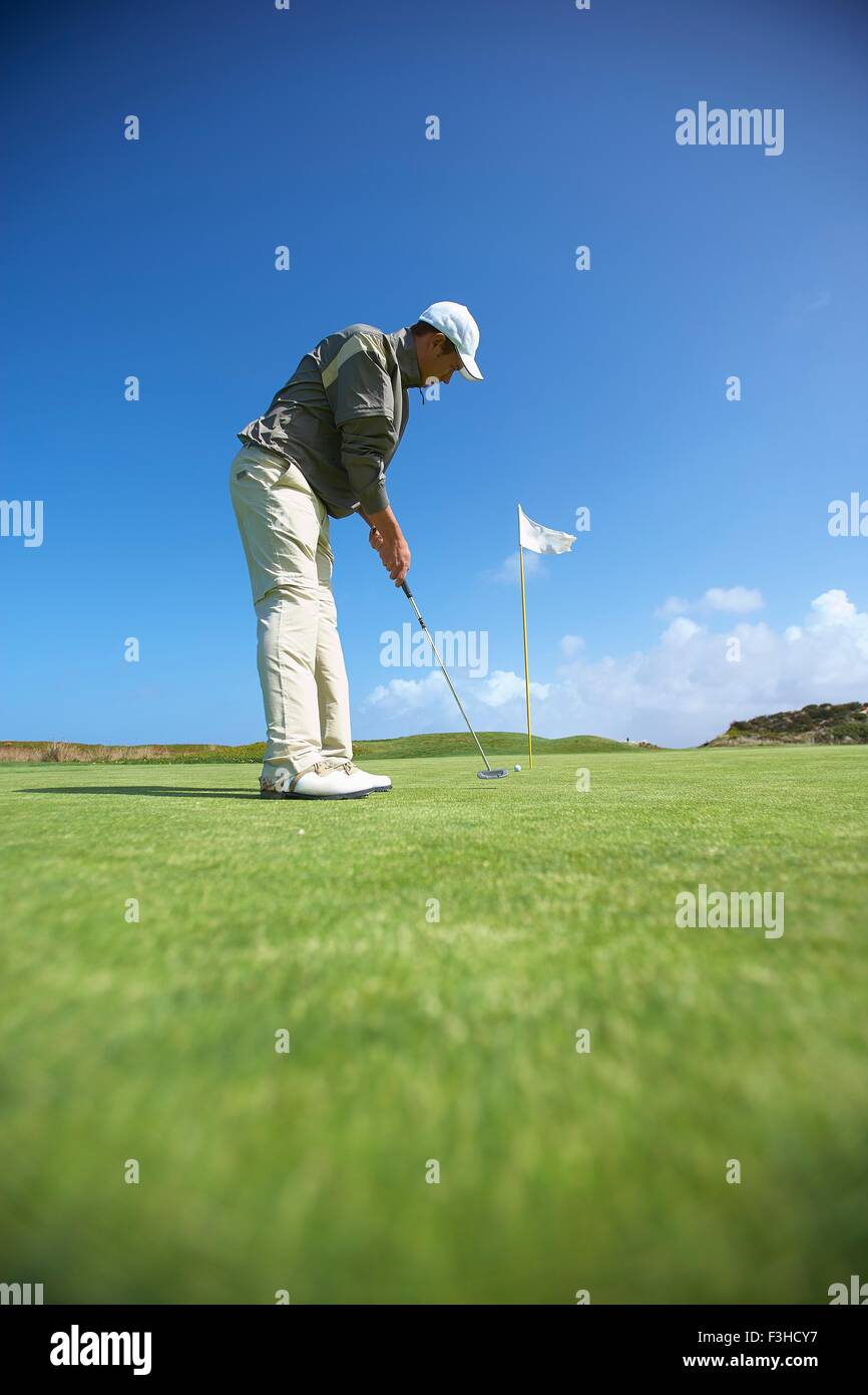 Low angle full length side view of golfer putting Stock Photo - Alamy