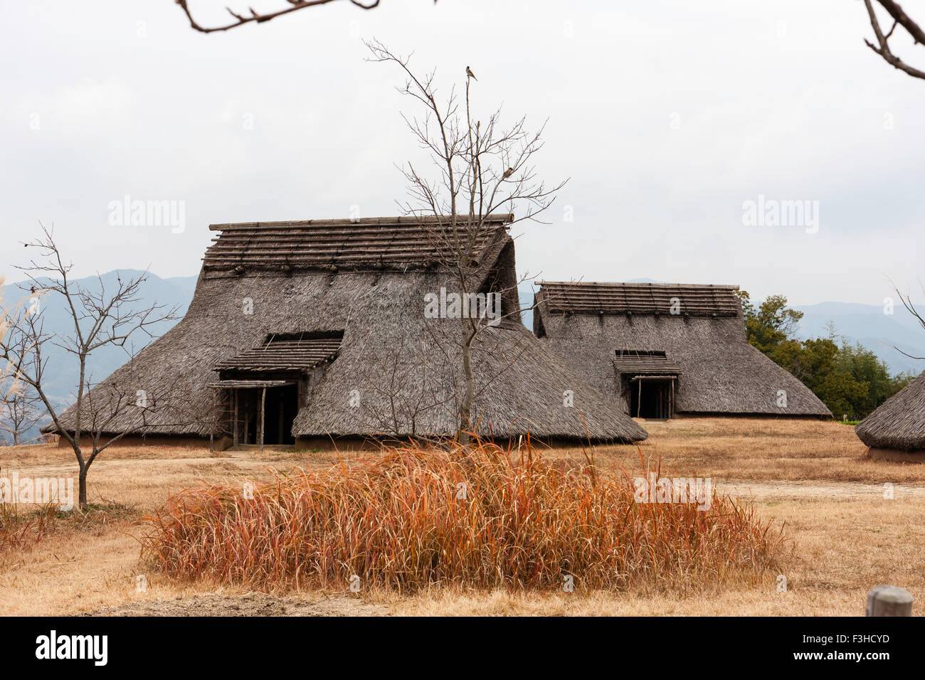 Japanese thatched house hi-res stock photography and images - Alamy