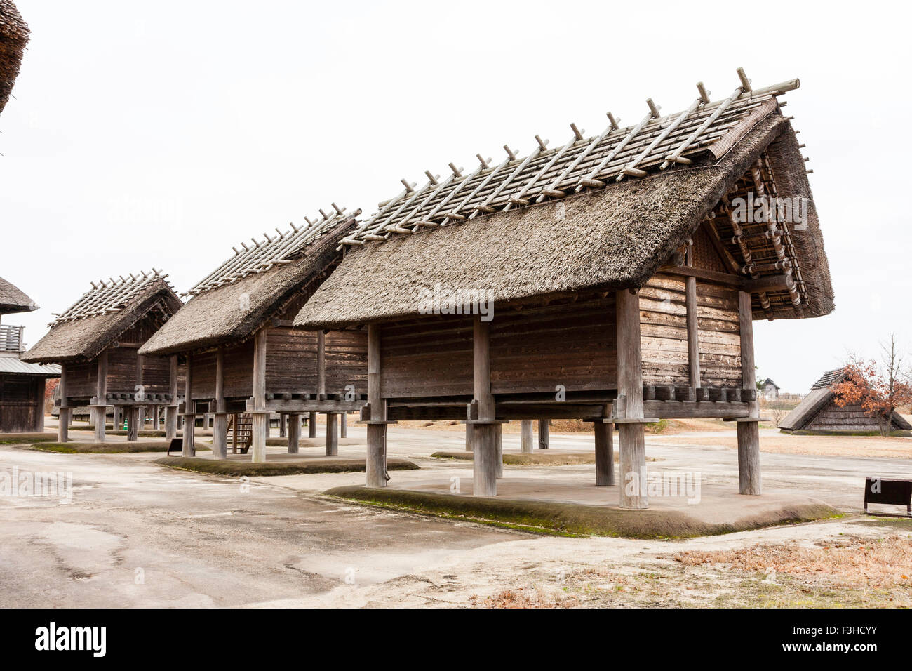 Yoshinogari Park, Japan. Reconstructed Yayoi settlement 400BC-300AD ...