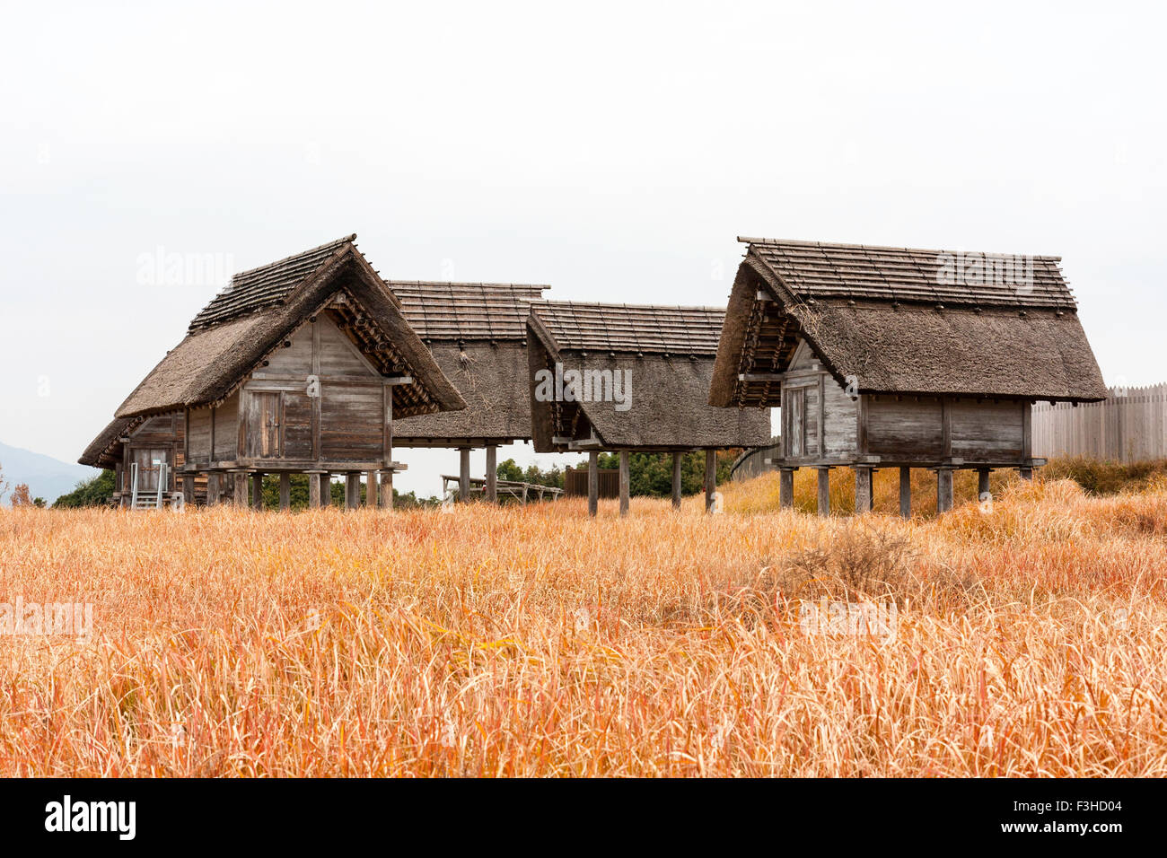 Yoshinogari Park, Japan. Reconstructed Yayoi settlement. Naka no Mura ...