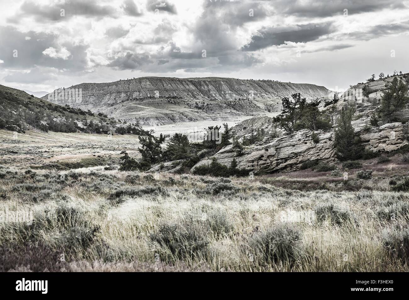 Bridger mountain and montana hi-res stock photography and images - Alamy