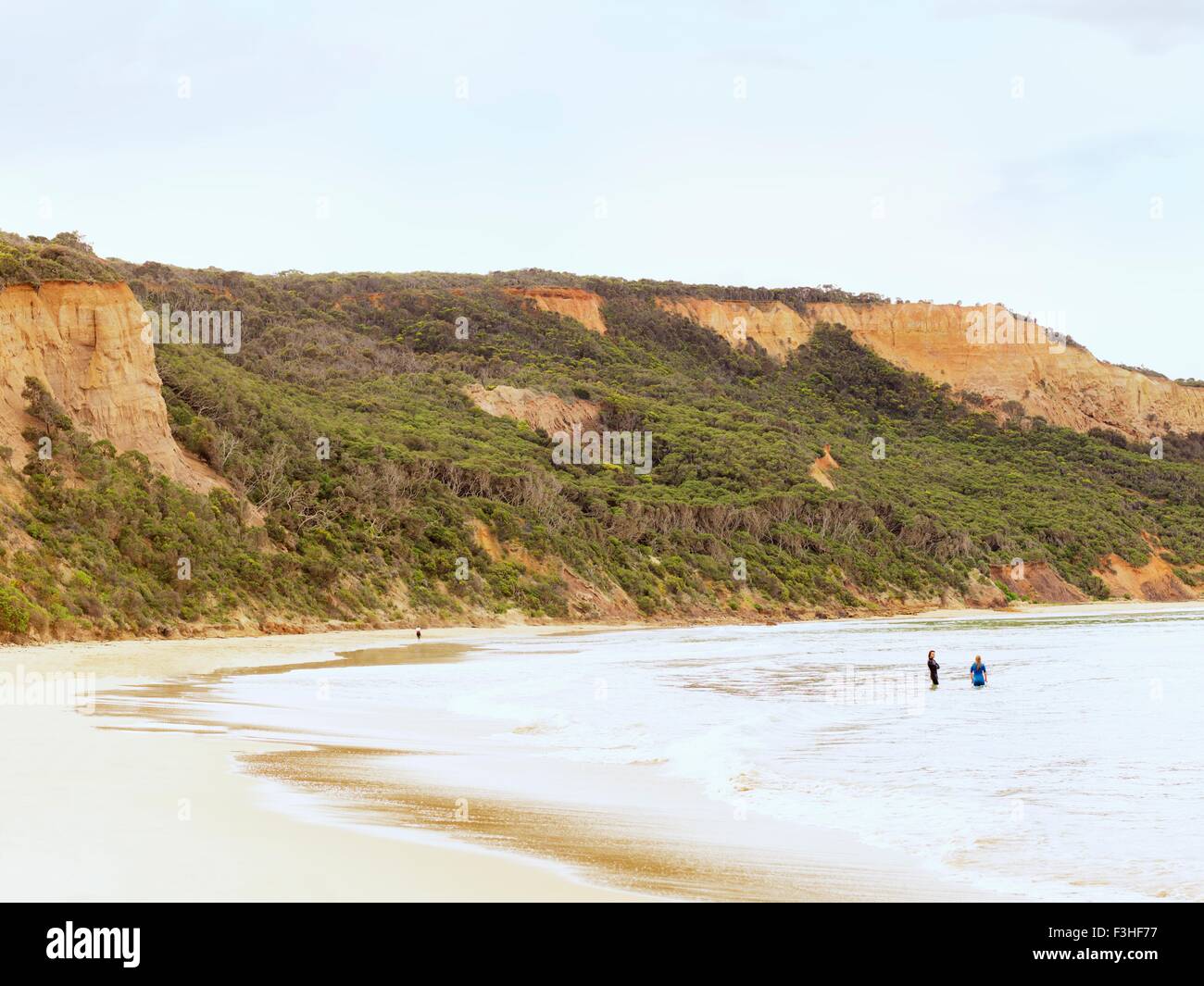 View of sea and beach, Point Addis National Park, Anglesea, Australia ...