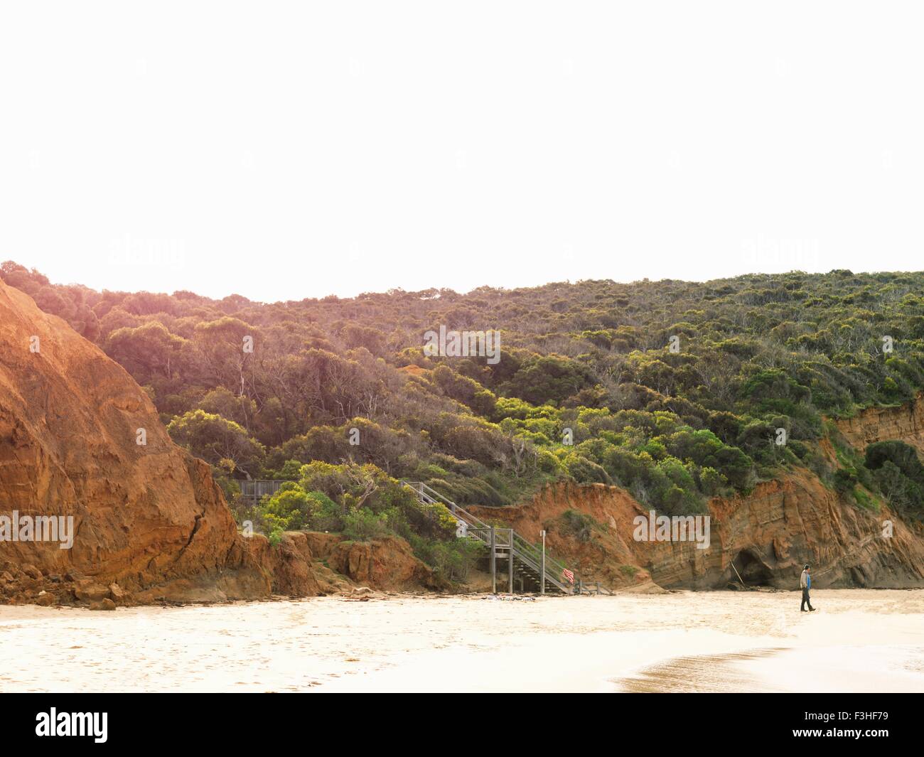 View of cliffs and beach, Point Addis National Park, Anglesea ...
