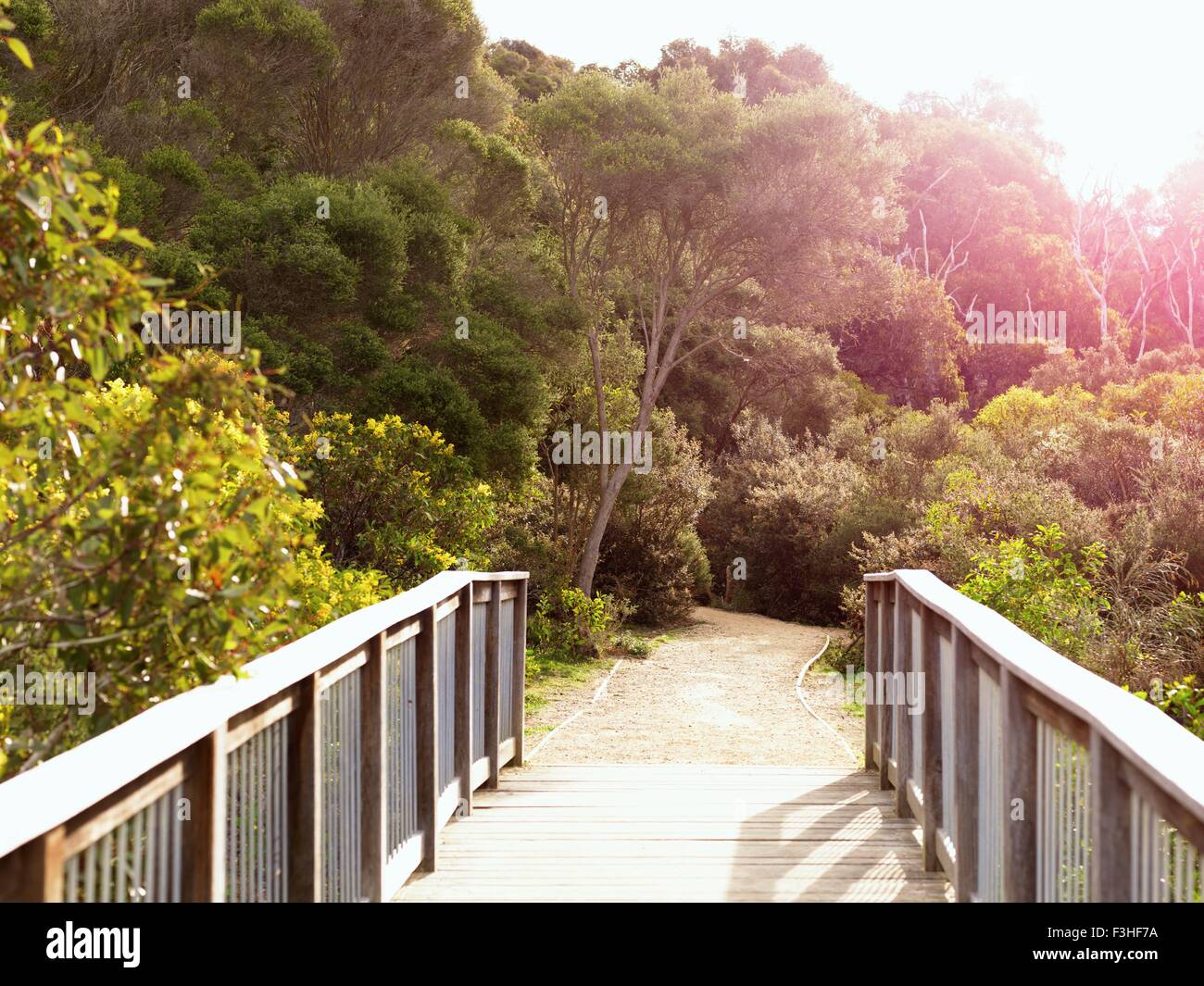 Wooden footbridge to beach, Point Addis National Park, Anglesea ...