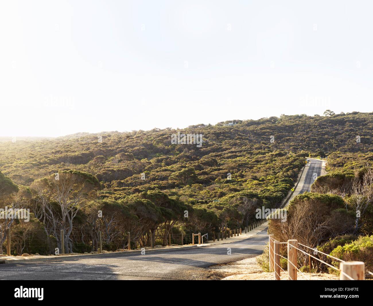 Empty rural road, Point Addis National Park, Anglesea, Australia Stock ...