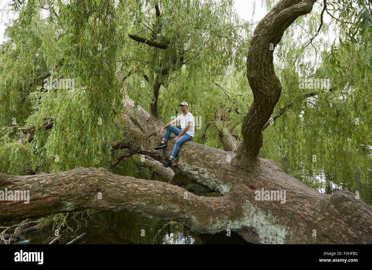 Man tree legs hi-res stock photography and images - Alamy