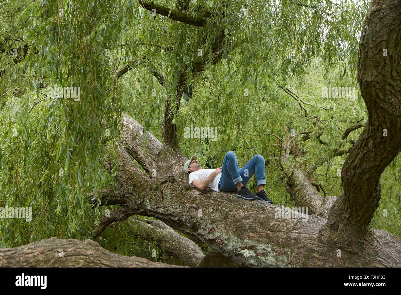Man lying trunk hi-res stock photography and images - Alamy