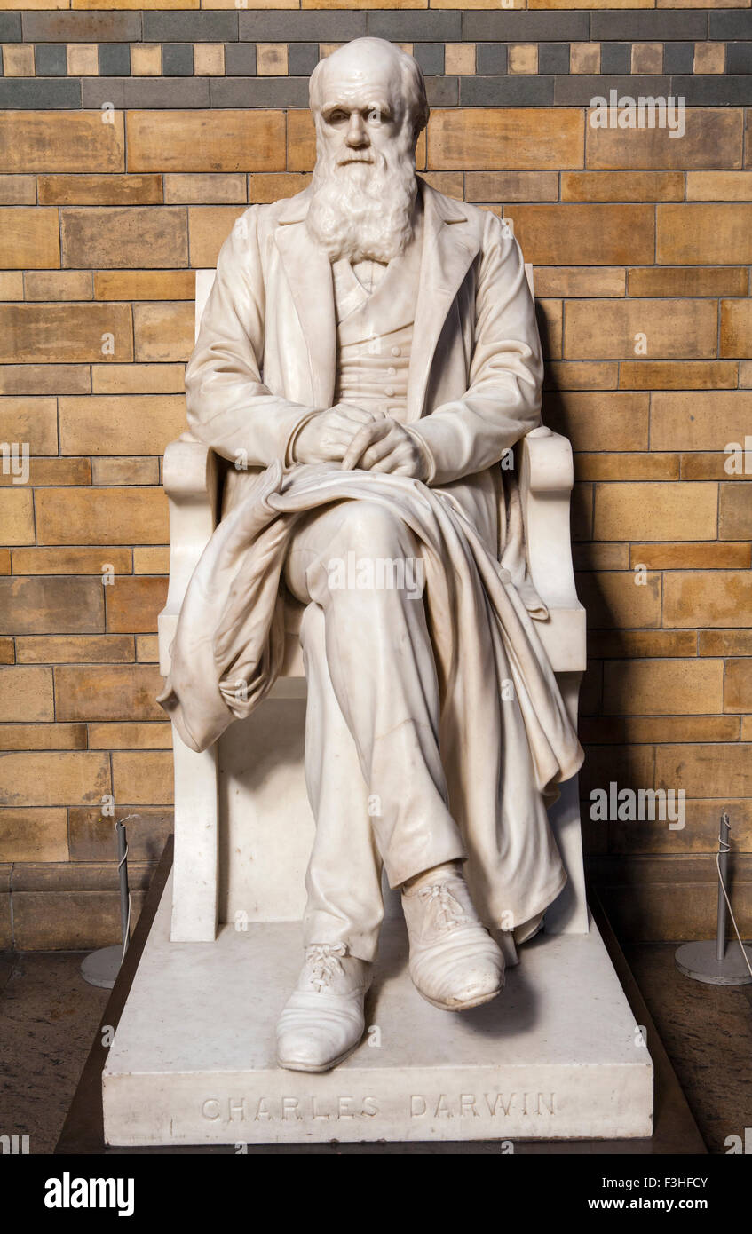 Charles Darwin Statue Natural History High Resolution Stock Photography ...