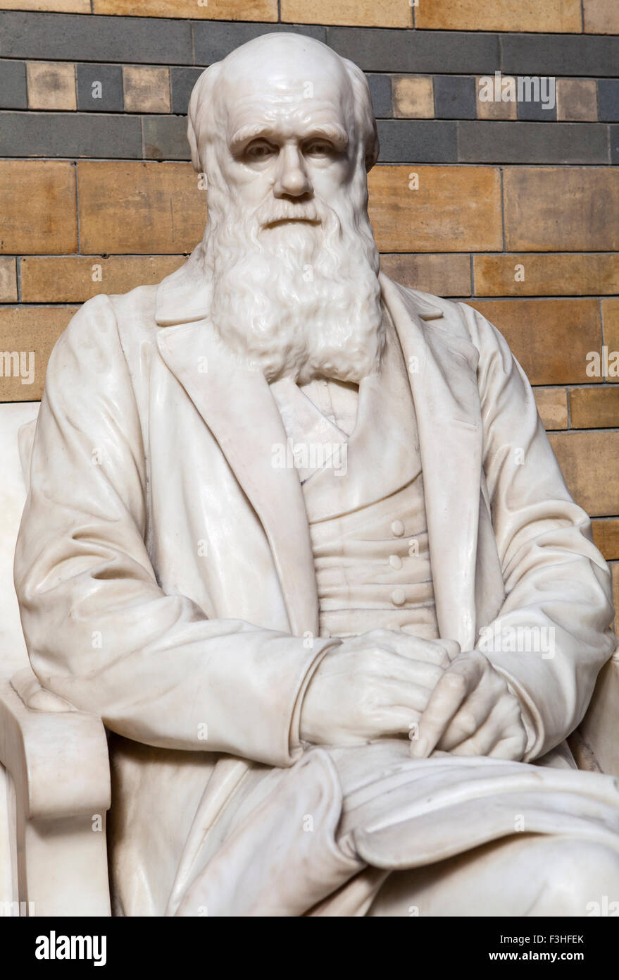 A statue of Charles Darwin located in the Natural History Museum in ...