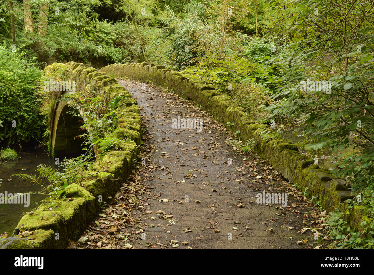 Woodland bridge, captured in early autumn Stock Photo - Alamy