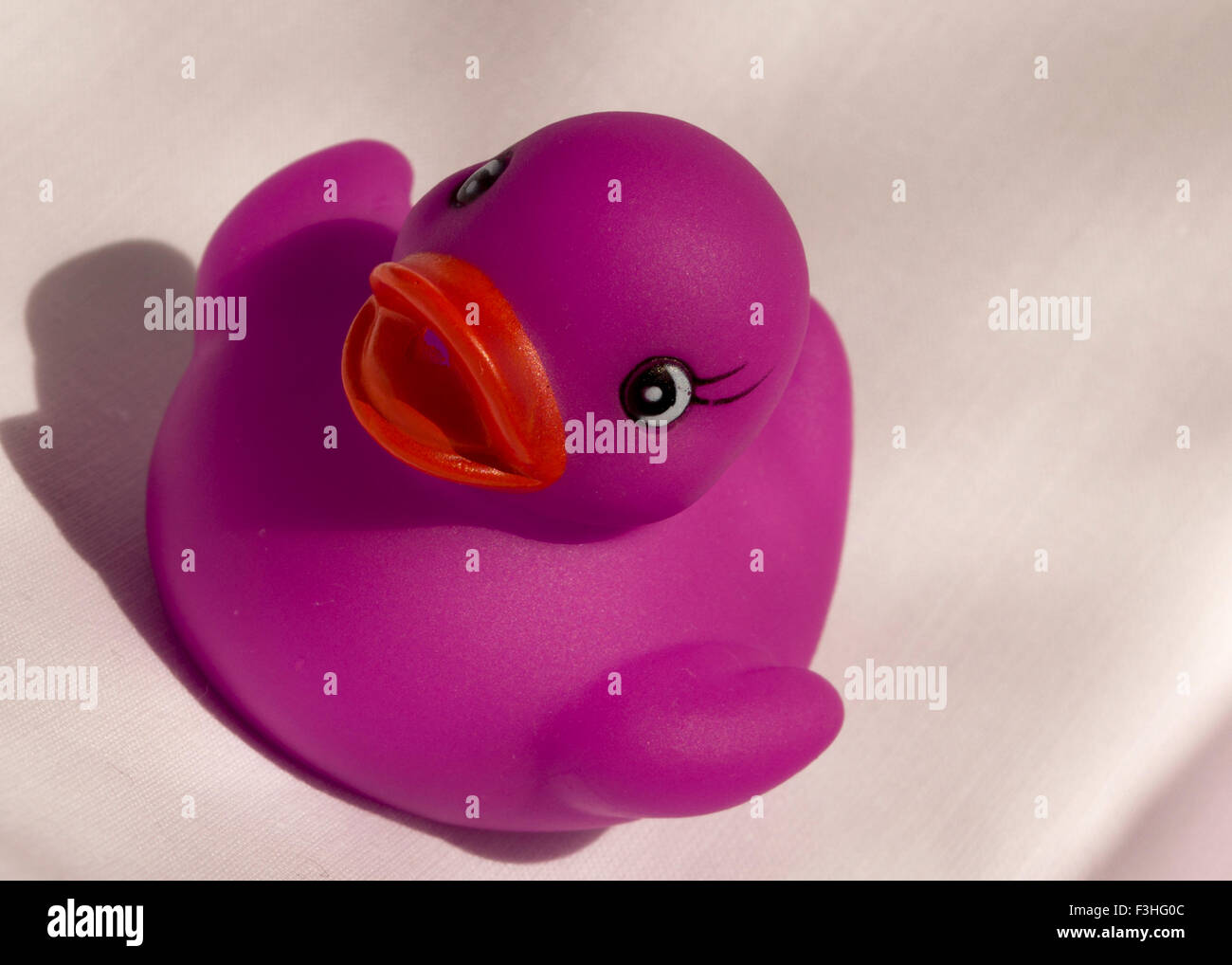 Purple rubber duck Stock Photo - Alamy