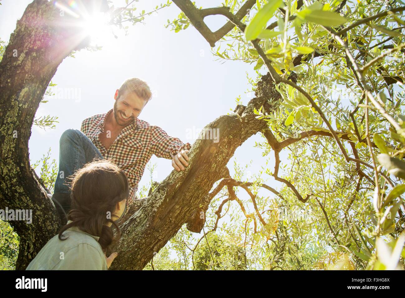 Low angle view of young couple climbing tree Stock Photo - Alamy