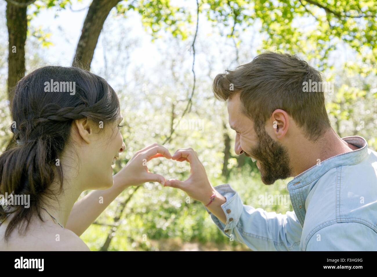 Rear view of young couple making heart shape with hands Stock Photo - Alamy