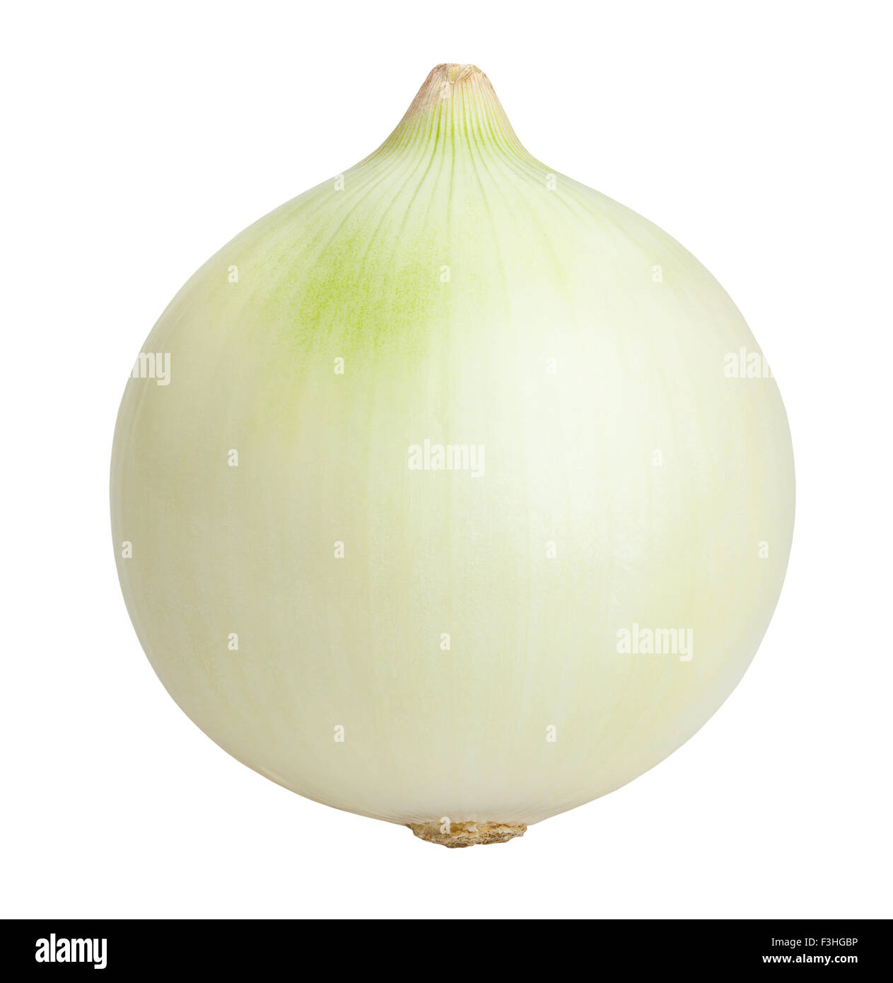 white onions isolated Stock Photo - Alamy