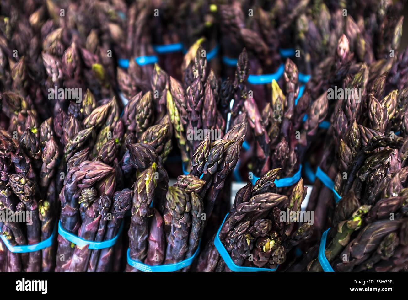 Bundles of purple asparagus Stock Photo - Alamy