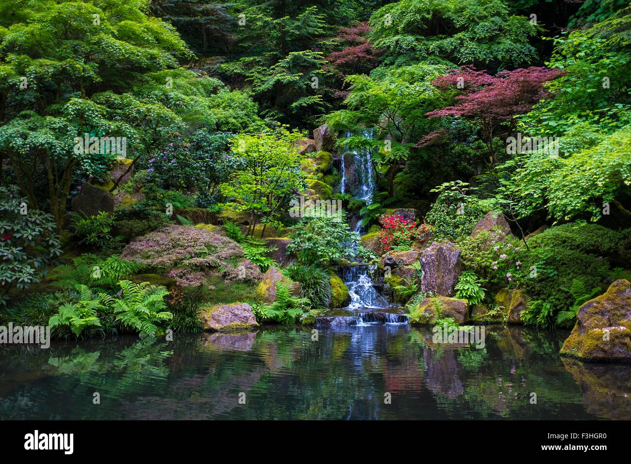 Japanese Garden, Portland, Oregon, USA Stock Photo - Alamy