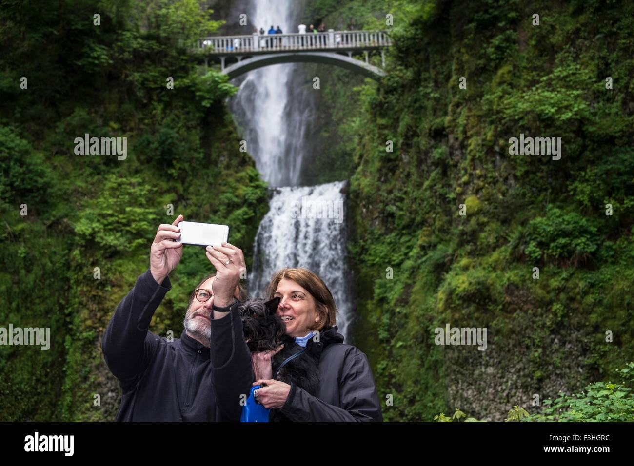 Can You Take Dogs To Multnomah Falls