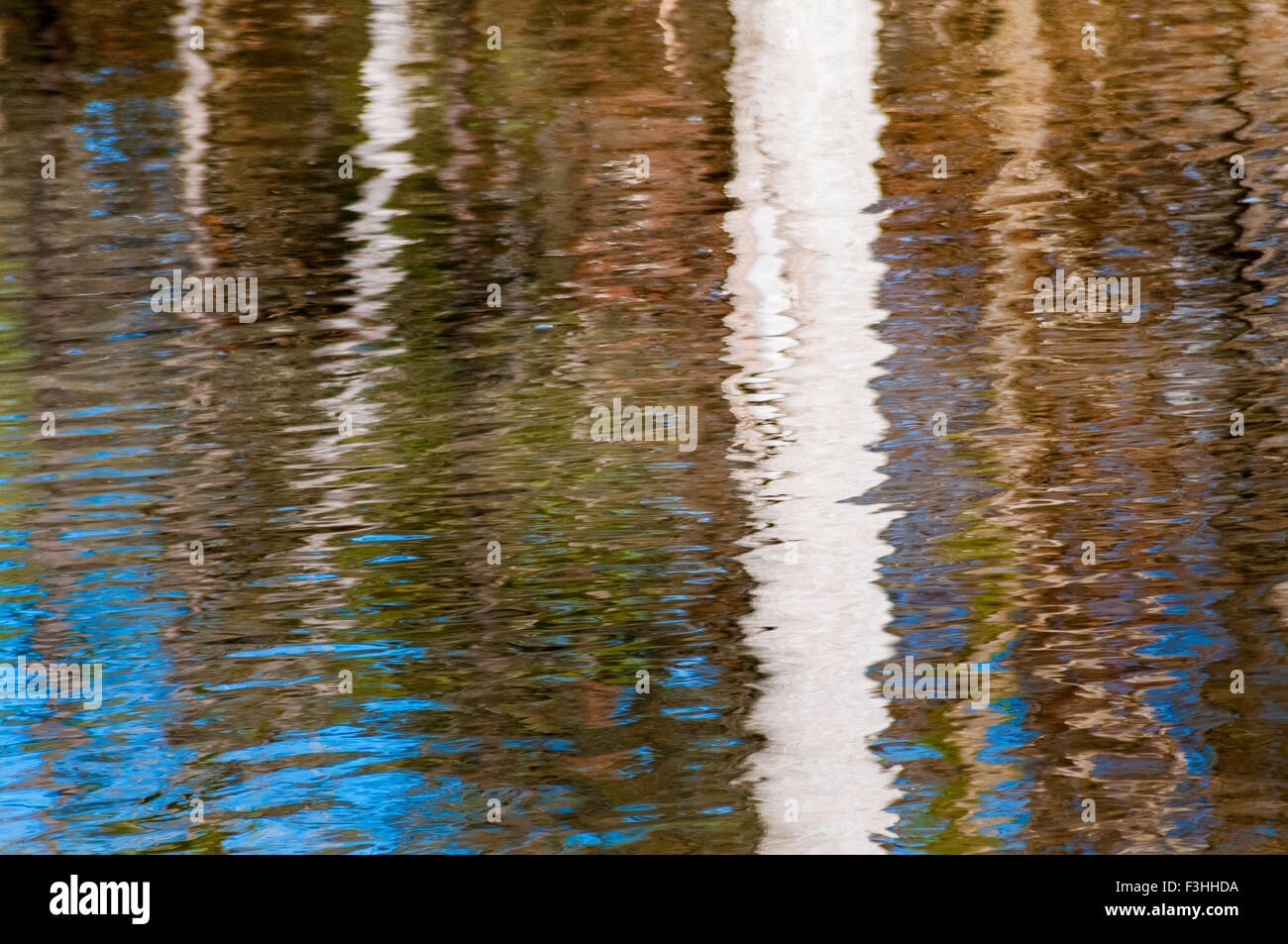 Winter tree reflections in creek Stock Photo - Alamy