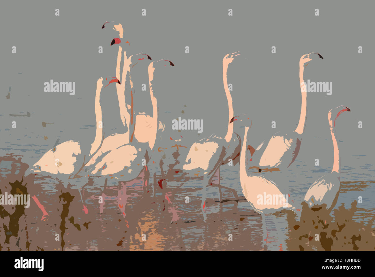 Firthfoto hi-res stock photography and images - Alamy