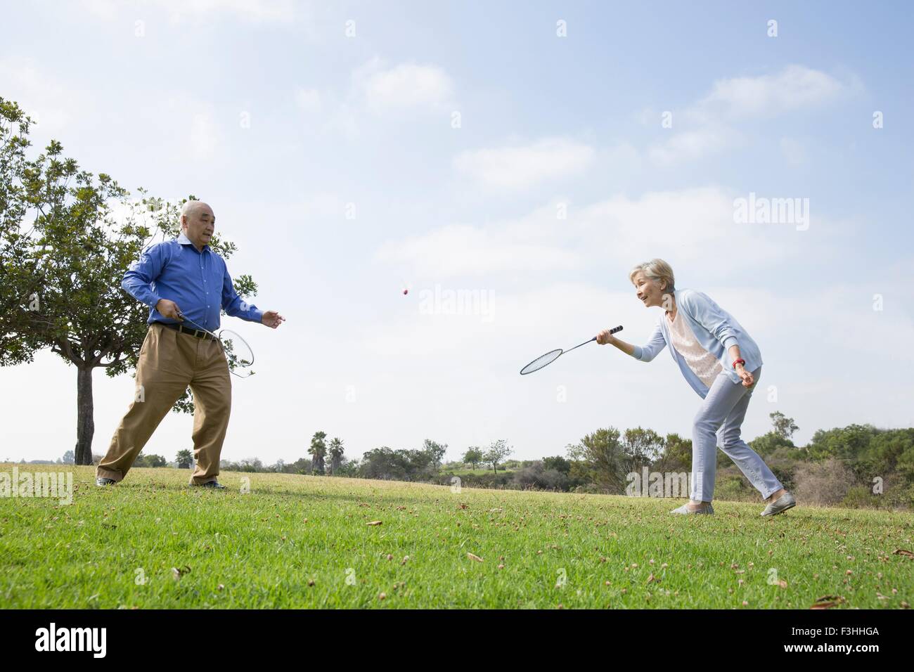 Senior couple playing badminton in park Stock Photo - Alamy