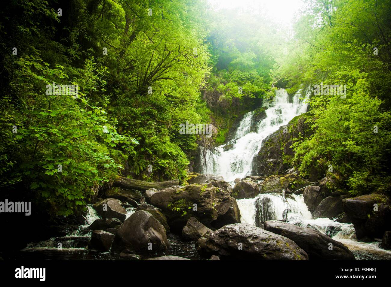 Torc Waterfall, Kerry, Ireland Stock Photo - Alamy