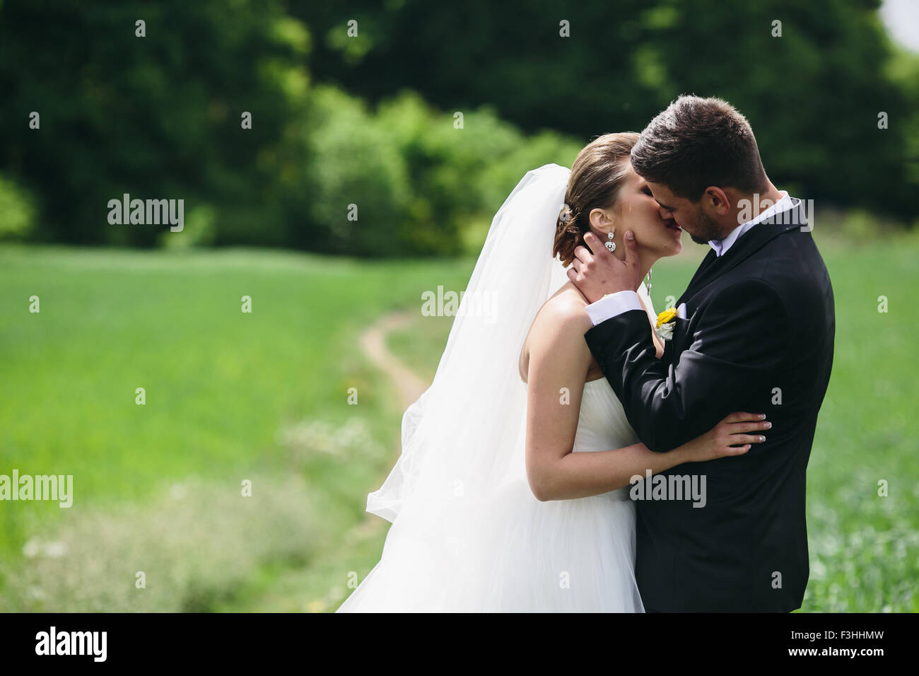 Beautiful wedding couple on nature Stock Photo - Alamy